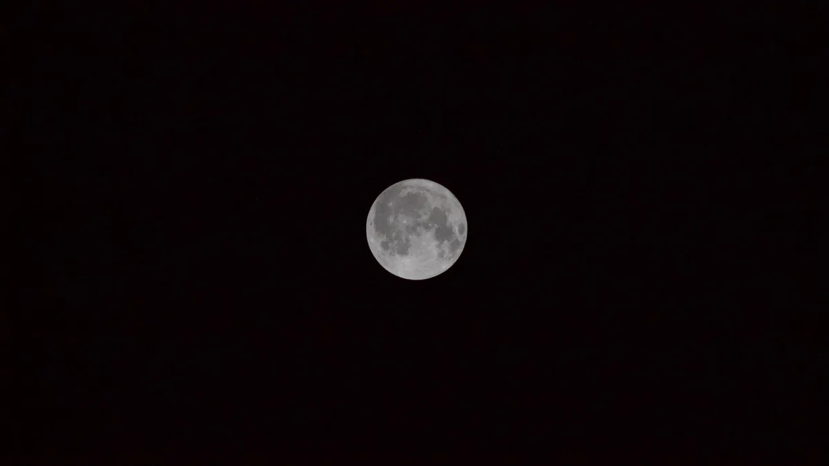 Blue Micromoon and Your Pets Tonight | Expert Zoom