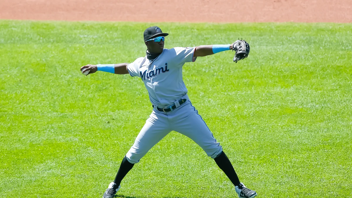 Fan Ball Hurts Blue Jays OF: Venue Liability | Expert Zoom
